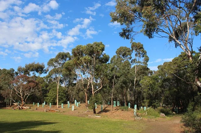 Narana Aboriginal Cultural Centre - TernTour